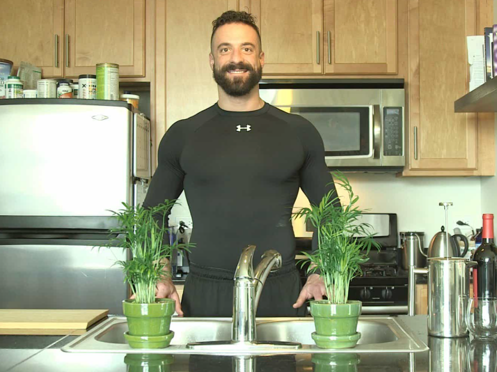 Anthony DiClementi: Exploring the Science of Resilience and Recovery – Pulsetto UK